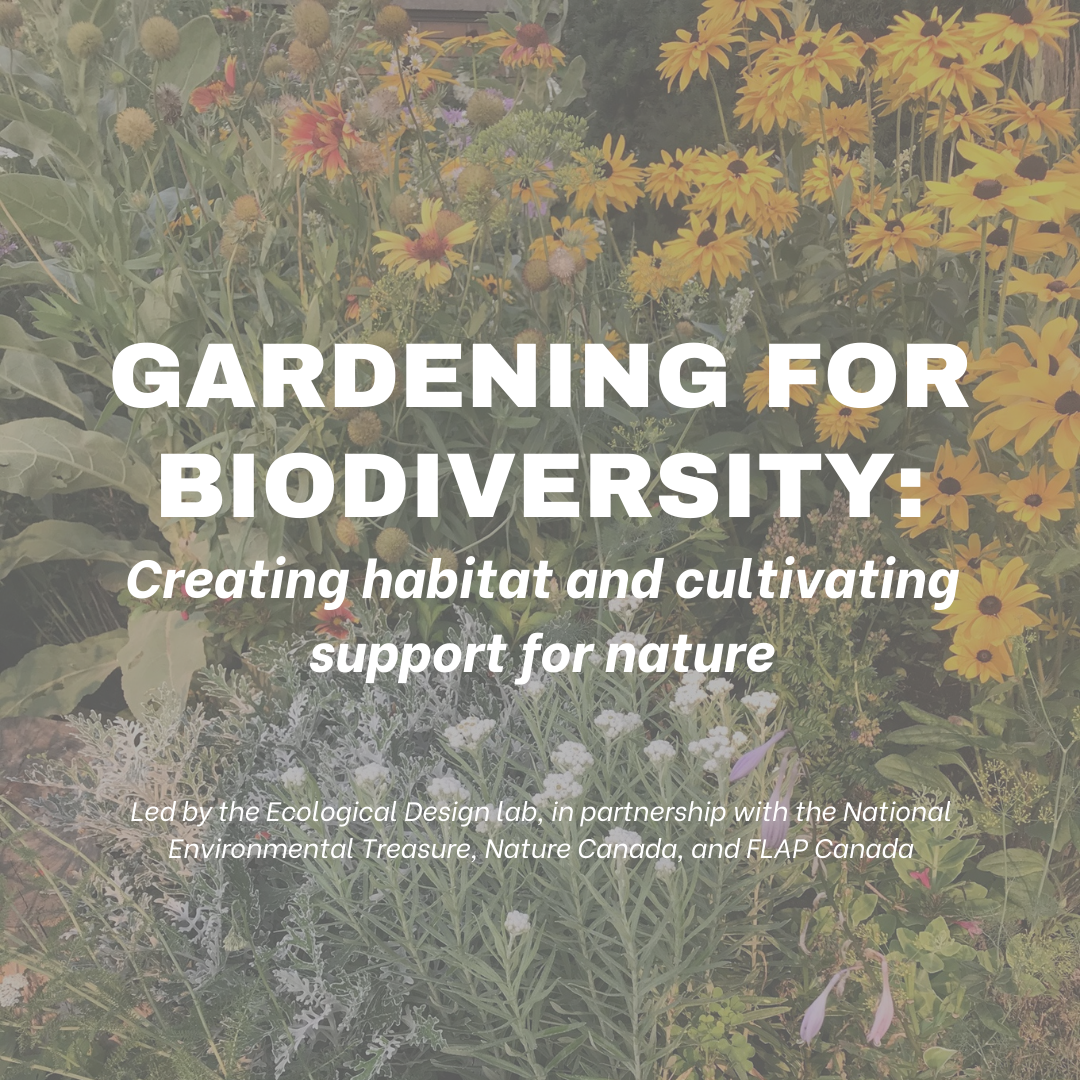 Gardening for Biodiversity | Ecological Design Lab